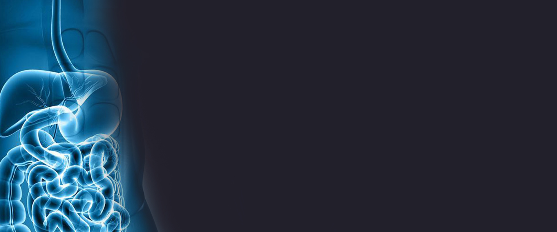 ENDOCAM - Endoscopy Documentation System